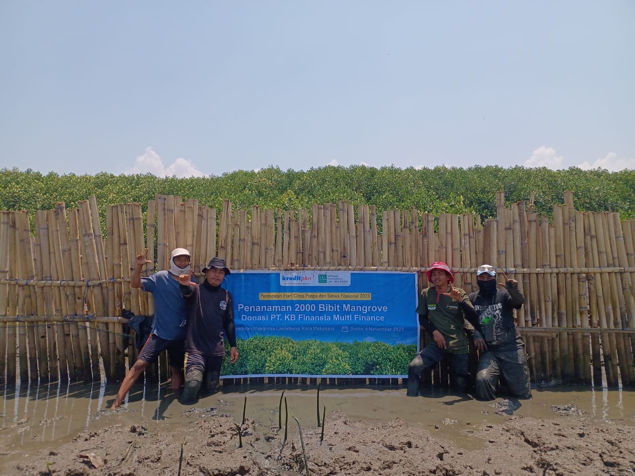 Peringatan HCPSN, YKL Indonesia dan KreditPlus Aksi Bersih Pantai dan Penanaman Mangrove ...